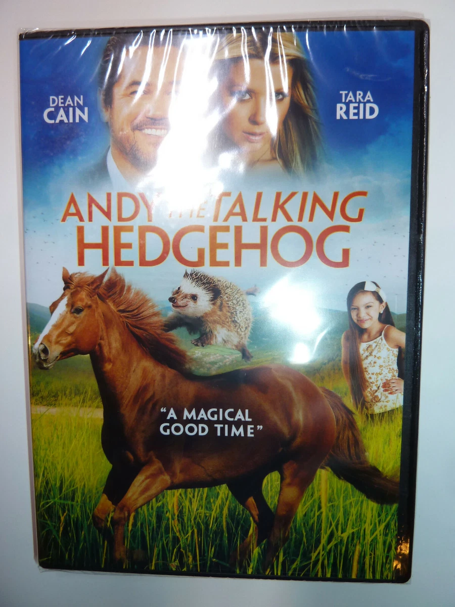 Andy The Hedgehog