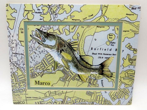 Marco Island Florida Nautical Chart Double Matte Art Print 8" x 10" | eBay