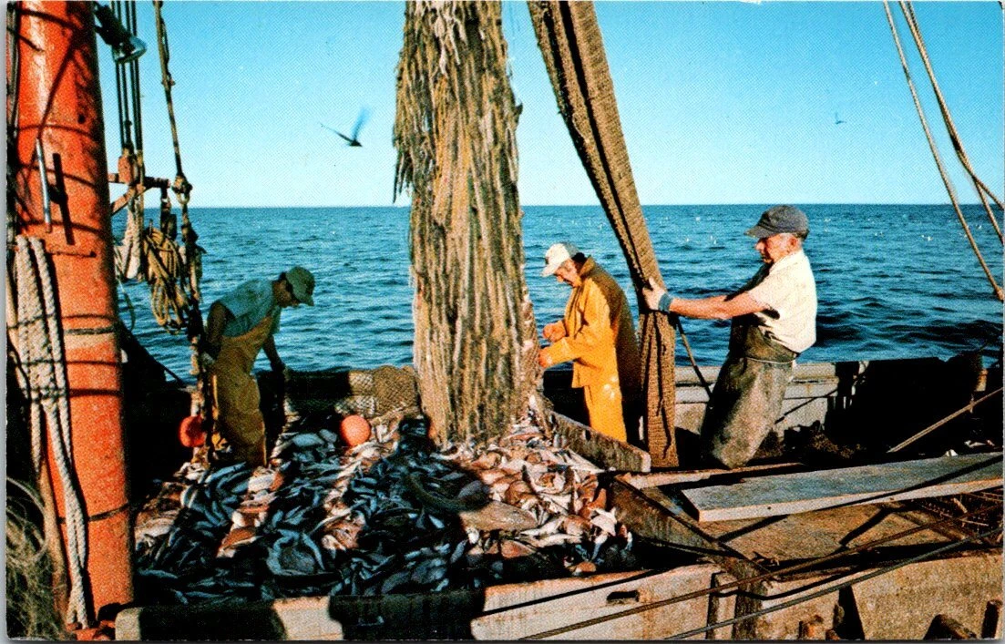 Commercial Fishing Boat Net