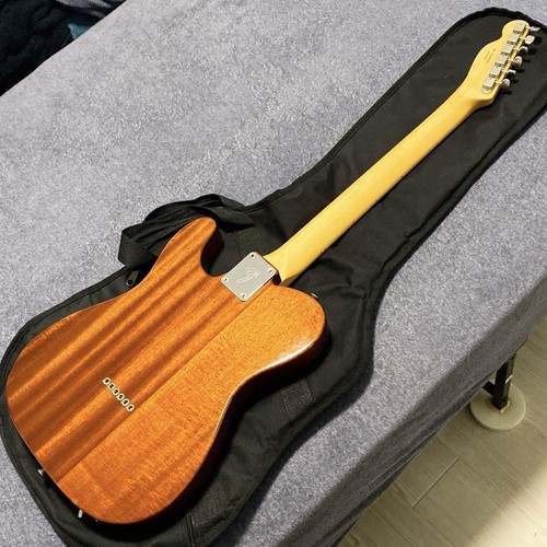Fender Japan 69 Telecaster Thinline Natural 2018 Model - Used Condition ...