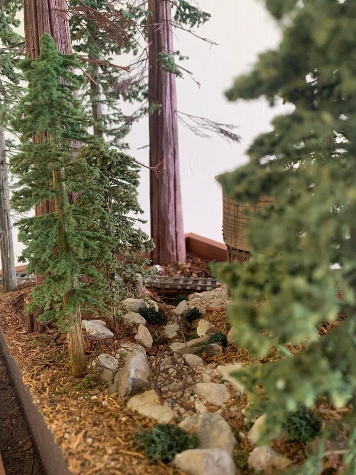 O On3 S Sn3 HO HOn3 HandCrafted 15" Storm Tree Redwood Cedar Fir ...