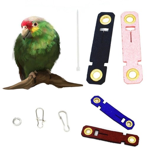 Accessories Bird Foot Cover Ankle Foot Chain Parrot Leg Ring Bird ...