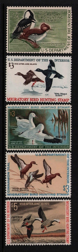 1968-72 US Migratory Bird Hunting Duck Stamp Lot of 5 RW35 RW36 RW37 ...