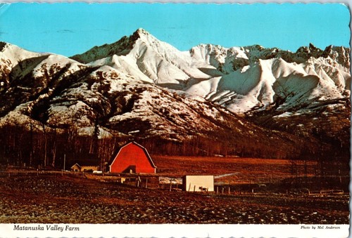 Matanuska Valley Farm Palmer Alaksa Postcard Posted 1973 | eBay
