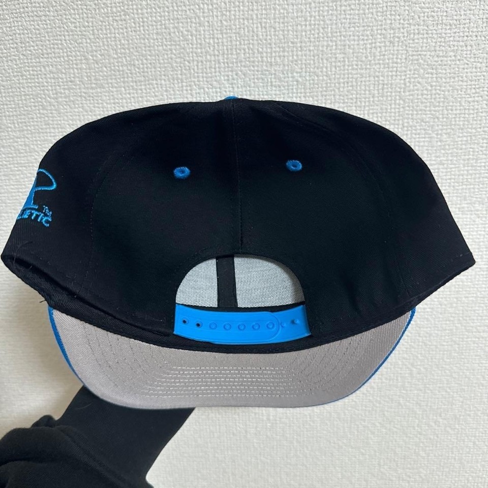 Carolina Panthers Super Rare Snapback Cap NFL Streetwear Hip Hop OG Men ...