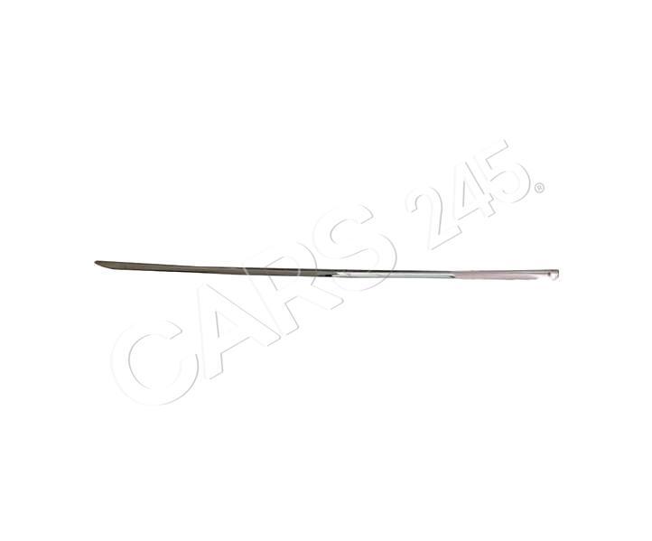 Door Moulding N/S Fits MERCEDES C218 W218 Cls 11-14 2186900562 | eBay