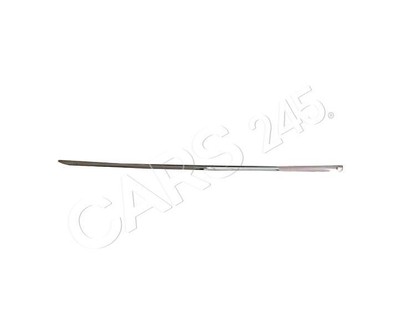 Door Moulding N/S Fits MERCEDES C218 W218 Cls 11-14 2186900562 | eBay