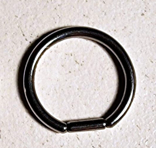 Pair Captive Segment Ring 14g 1/16" Lip Brow Nipple, Septum, Ear, Nose ...
