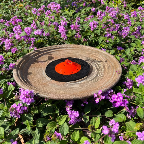 Quackups Solar Bubbler Fountain for Hummingbirds, Small Birds, Bird ...