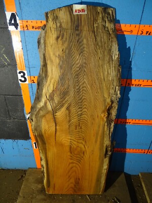 A2086 2" thick honey locust Slab lumber craft shelf table bench | eBay