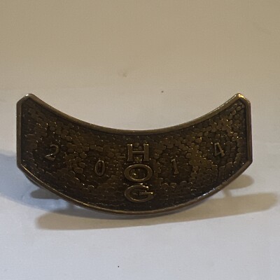 ⭐️ H-D Harley Davidson Harley Owner’s Group (“HOG”) Pin - 2014 | eBay