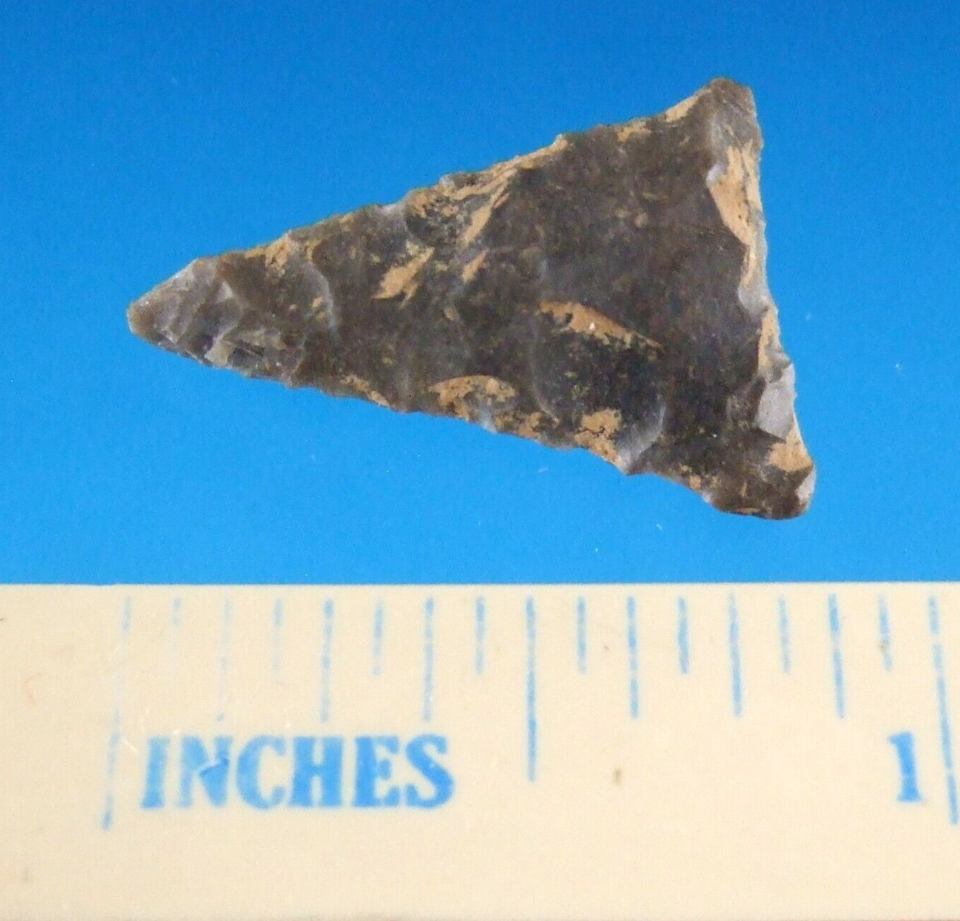 Super Fine Authentic Kentucky Shawnee Springs Madison Triangle Point ...