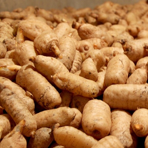 Natural Herbal Gastrodia Elata Roots Slice Tianma Chinese Genuine Herbs ...