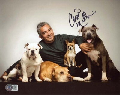 CESAR MILLAN SIGNED AUTOGRAPHED 8x10 PHOTO THE DOG WHISPERER RARE ...