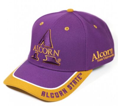 Alcorn State University M48 Cap | eBay