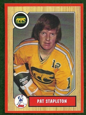 PAT STAPLETON CHICAGO COUGARS CUSTOM MADE HOCKEY ART MAGNET!! | eBay