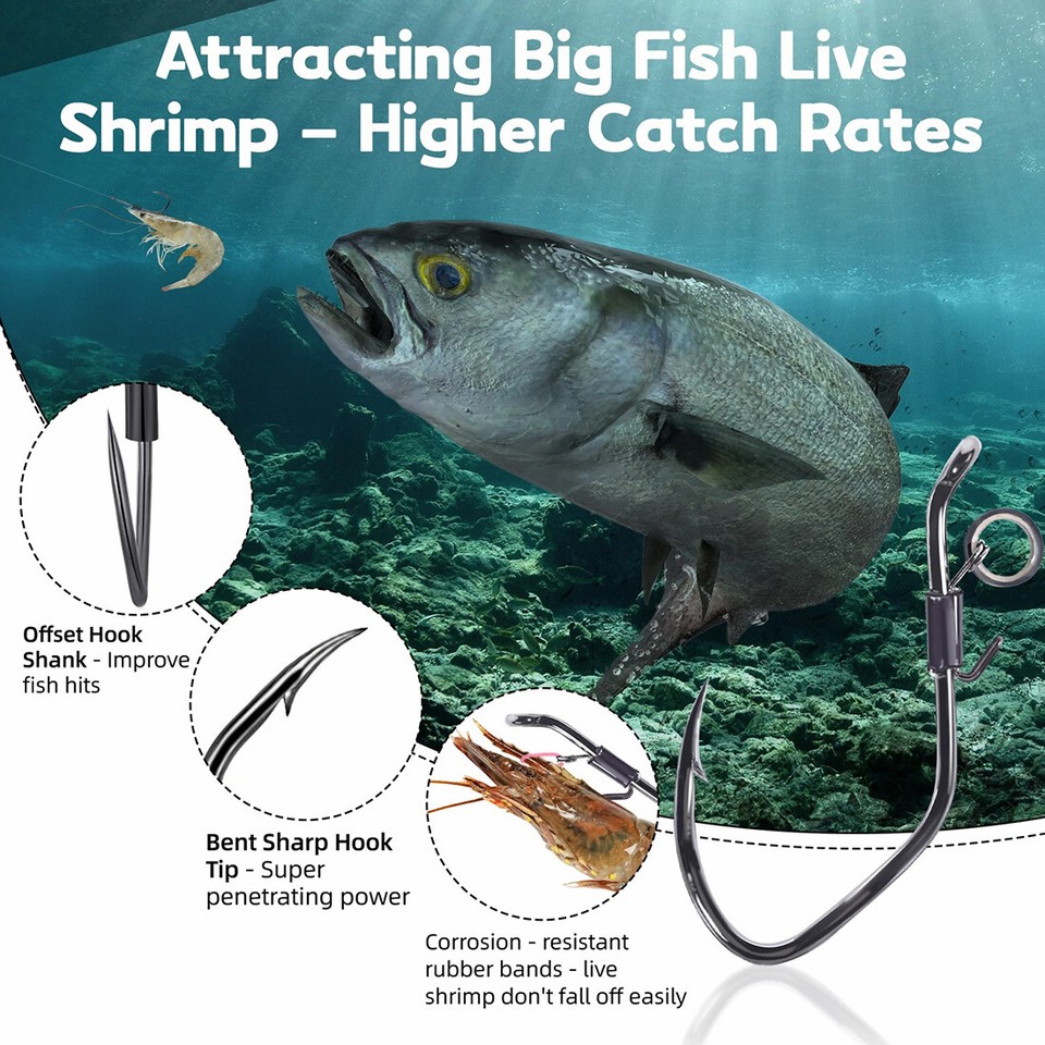 10Pcs Live Shrimp Hook Set Catfish Fishing Hook Shrimp Holder Hook for ...