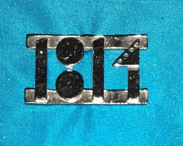 Vintage 1990 Janet Jackson 1814 Promo Pin Rhythm Nation Tour Naught ...