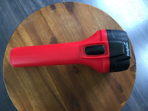 Dolphin Mini/ Eveready Torch D-cell Batteries | eBay