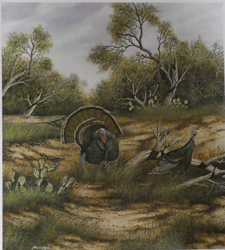 Alberto Meza Turkeys Hand Signed Print 15/750 1978 | eBay