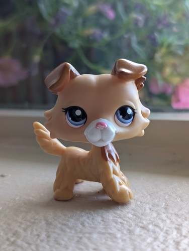 Littlest Pet Shop LPS Collie Dog #2452 | Authentic Rare Blind Bag ...
