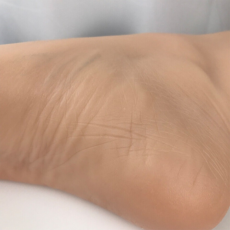 Platinum Silicone Female Legs Realistic Foot Model Display Toe ...
