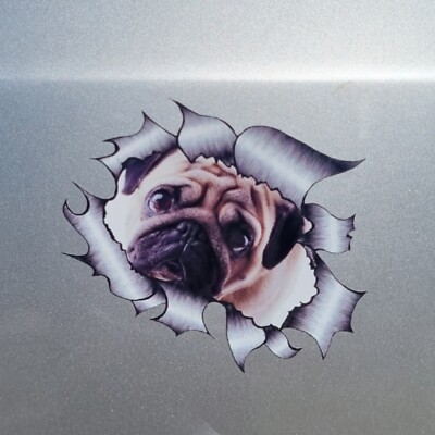Cute Pug Dog Puppy Ripped Open Metal Vinyl Sticker Decal For Car Van ...