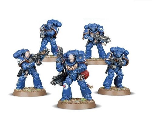 5x Primaris Intercessors - Space Marines - Warhammer 40k - Brand New on ...