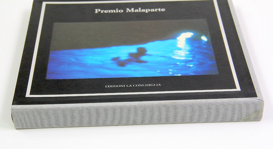 Premio Malaparte Catalogo Manuel Puig Susan Sontag Romolo Valli Raf ...