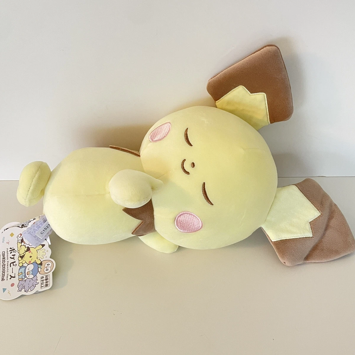 Pichu Sleeping