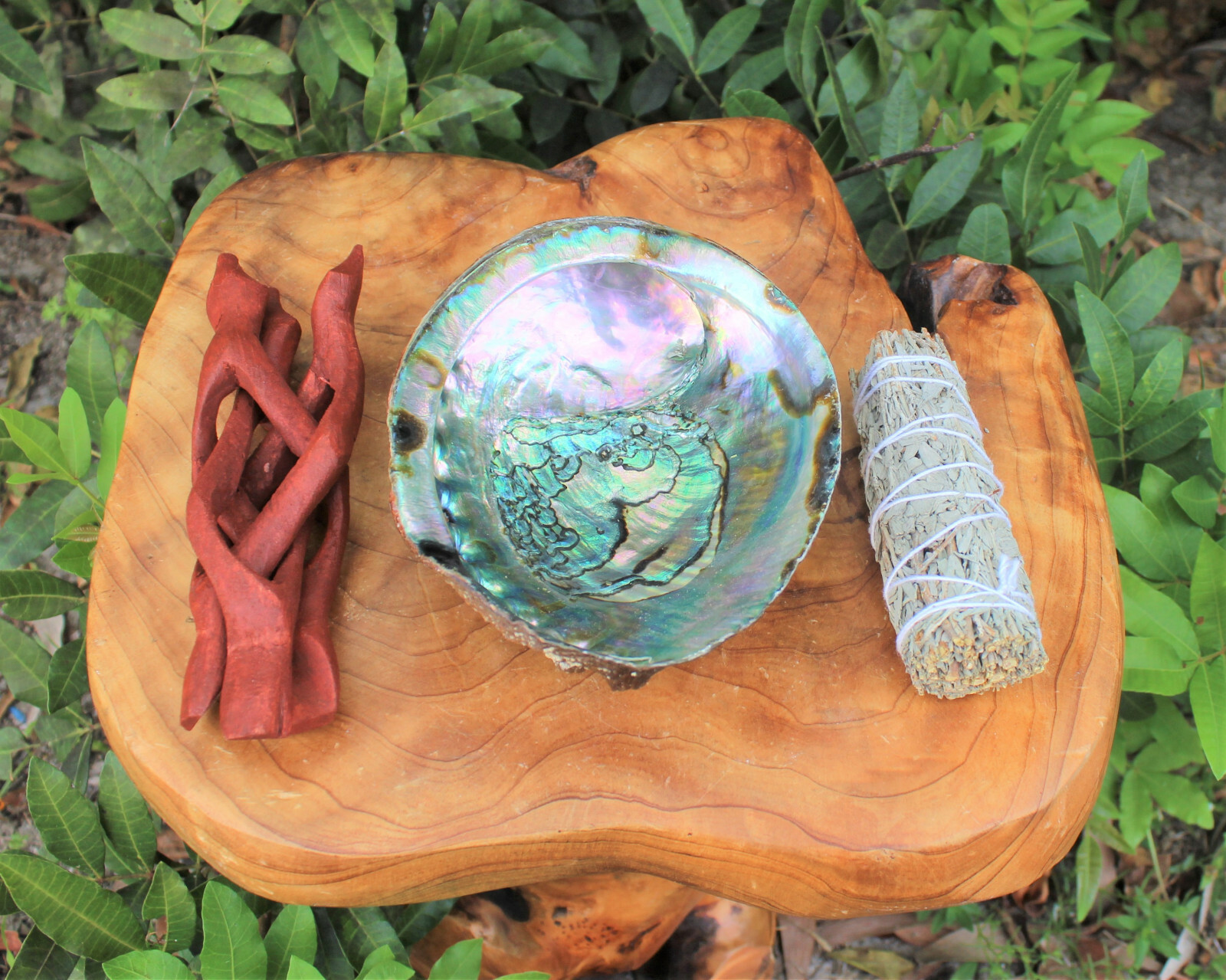 Smudge Kit: Abalone Shell, 6" Stand, Sage Smudge Stick PLUS Directions ...