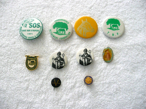 Grouping Conservation, Religion, Service Pinbacks, Lapel Pins - 10 ...