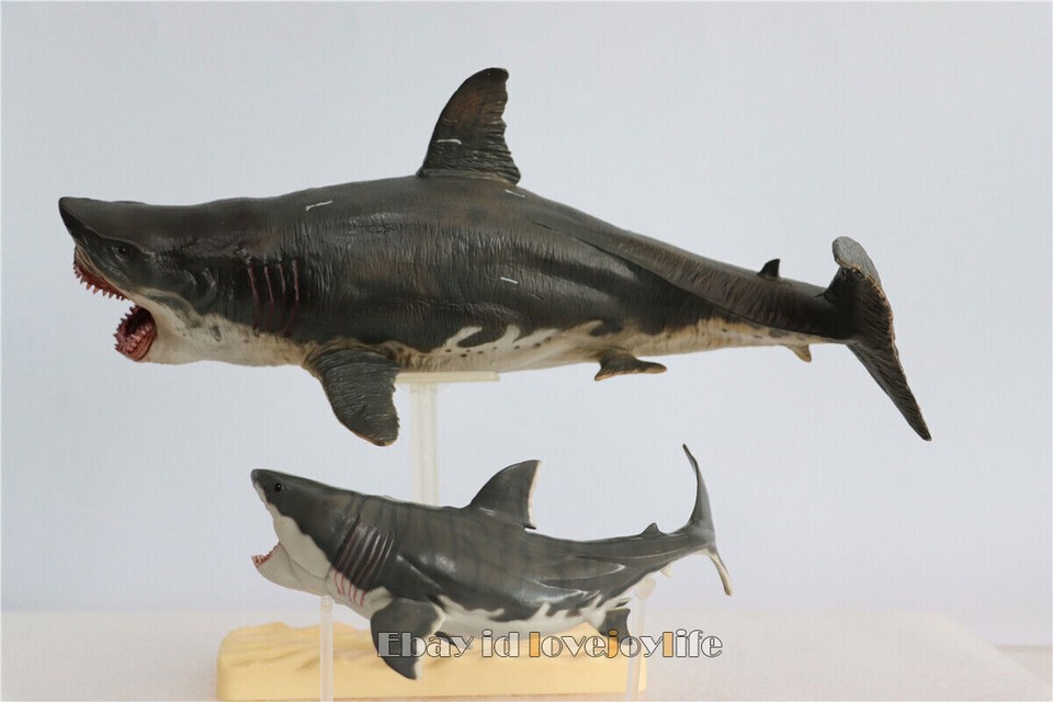 PNSO Ocean Animal Model Megalodon Helicoprion Shark Figure Collector ...