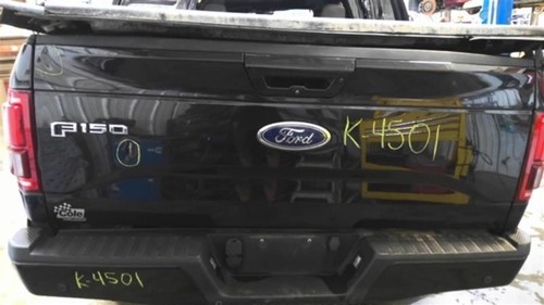 Trunk/Hatch/Tailgate With Rear View Camera Fits 15-17 FORD F150 PICKUP ...