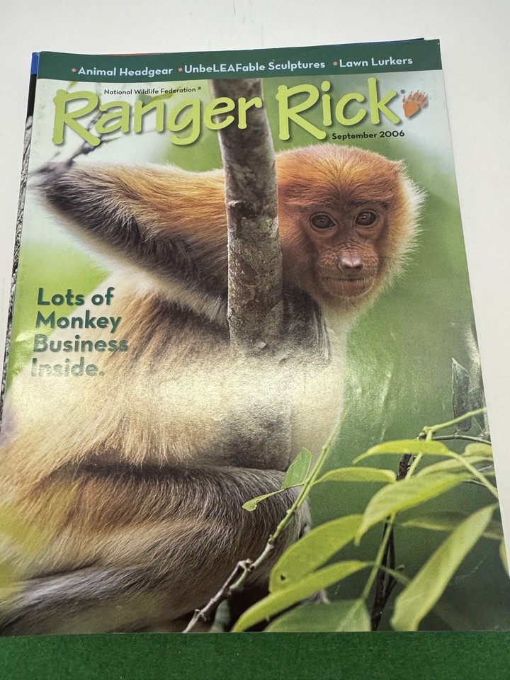 Lot of 11 Ranger Rick Magazines 2006. National Wildlife Federation. For ...