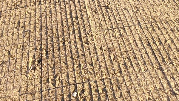 Paddock Grass Grids Field Shelter Greenhouse Base Log Cabin THICK HD UK ...