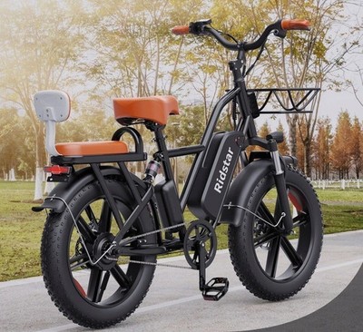 Ridstar FM001 Elektrofahrrad 20 Zoll City E-Bike 48V/15Ah 1500W ...
