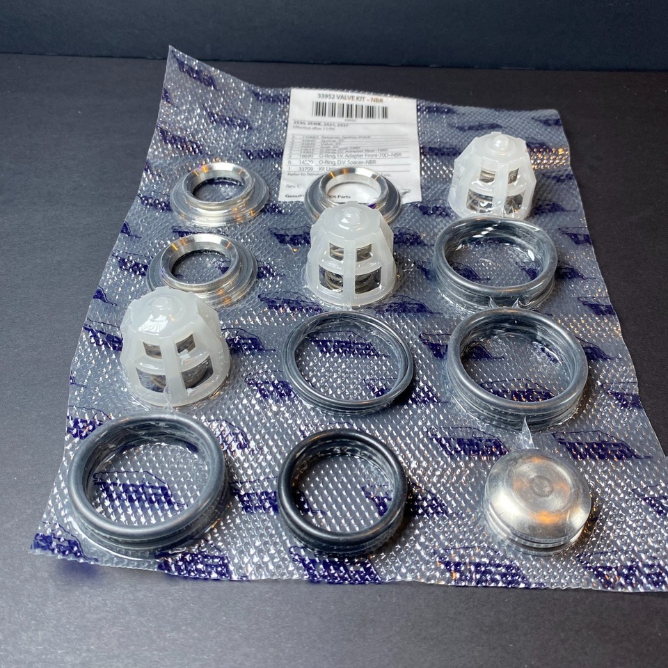 GENUINE OEM Cat Pumps 33952 NBR Valve Kit for 2530 2530E 2531 2537 | eBay