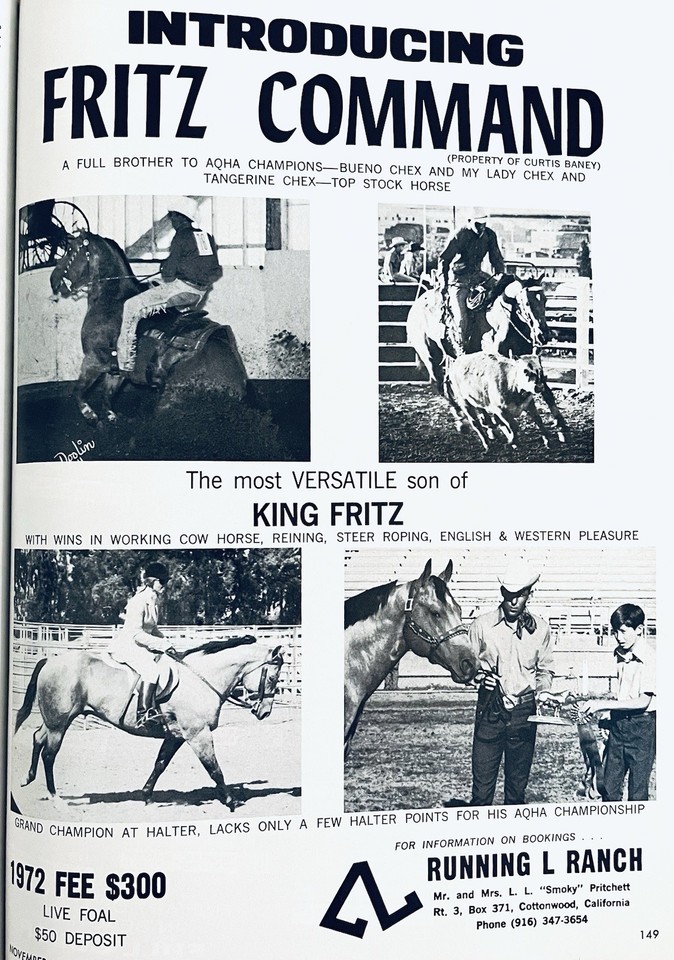 1971 QUARTER HORSE JOURNAL, AQHA Magazine - DRY DOC - COMMANDER KING ...