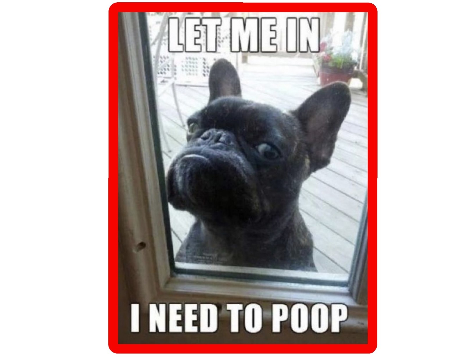Funny French Bull Dog Poop Refrigerator / Tool Box Magnet Gift Card ...