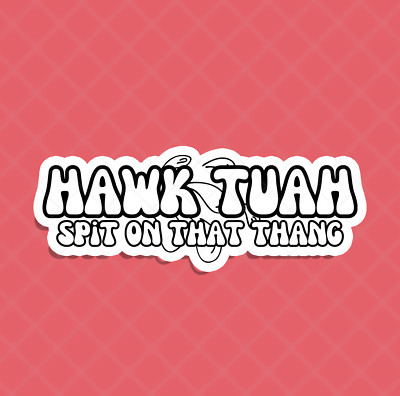 Hawk Tuah Funny Meme Sticker Waterproof - Buy Any 4 For 41% OFF Each ...