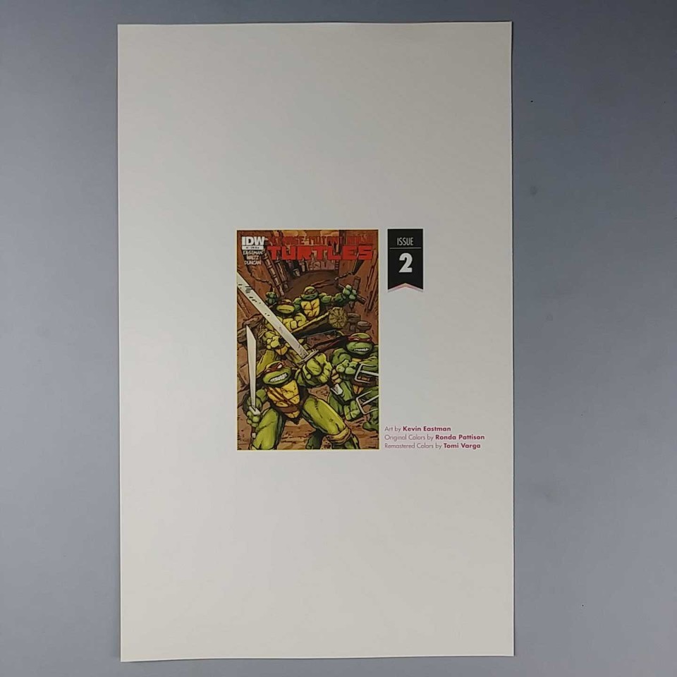 TMNT Teenage Mutant Ninja Turtles IDW Comic Issue #2 Cover Print 10 x ...