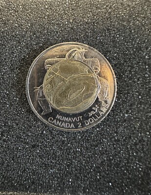 1999 Canada Nunavut Commemorative Toonie Coin Rare Circulated. Error ...