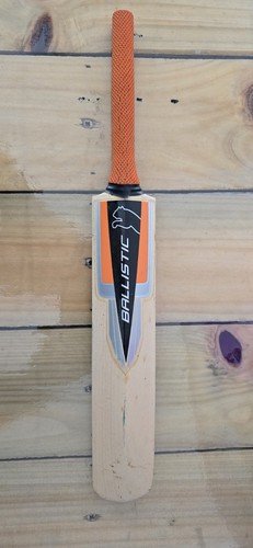 Mini Cricket Bat Wood Adam Gilchrist Signature BALLISTIC Puma | eBay ...