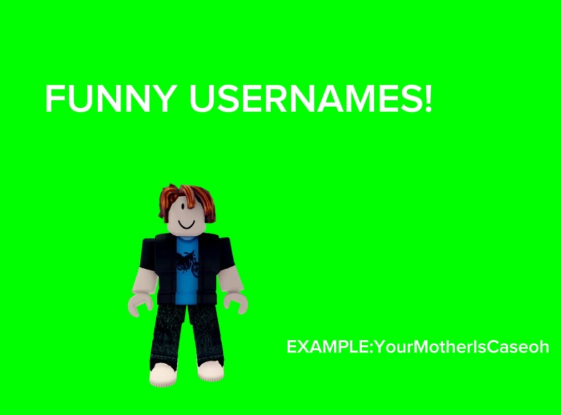 FUNNY Roblox Usernames (If Paying With $app Send Text Here) | eBay