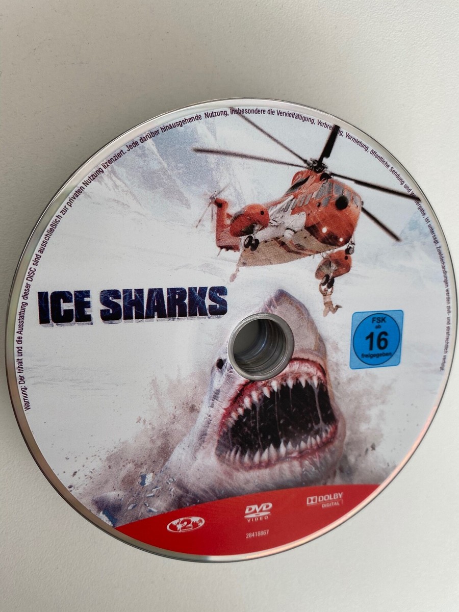 Megalodon Hai Munn