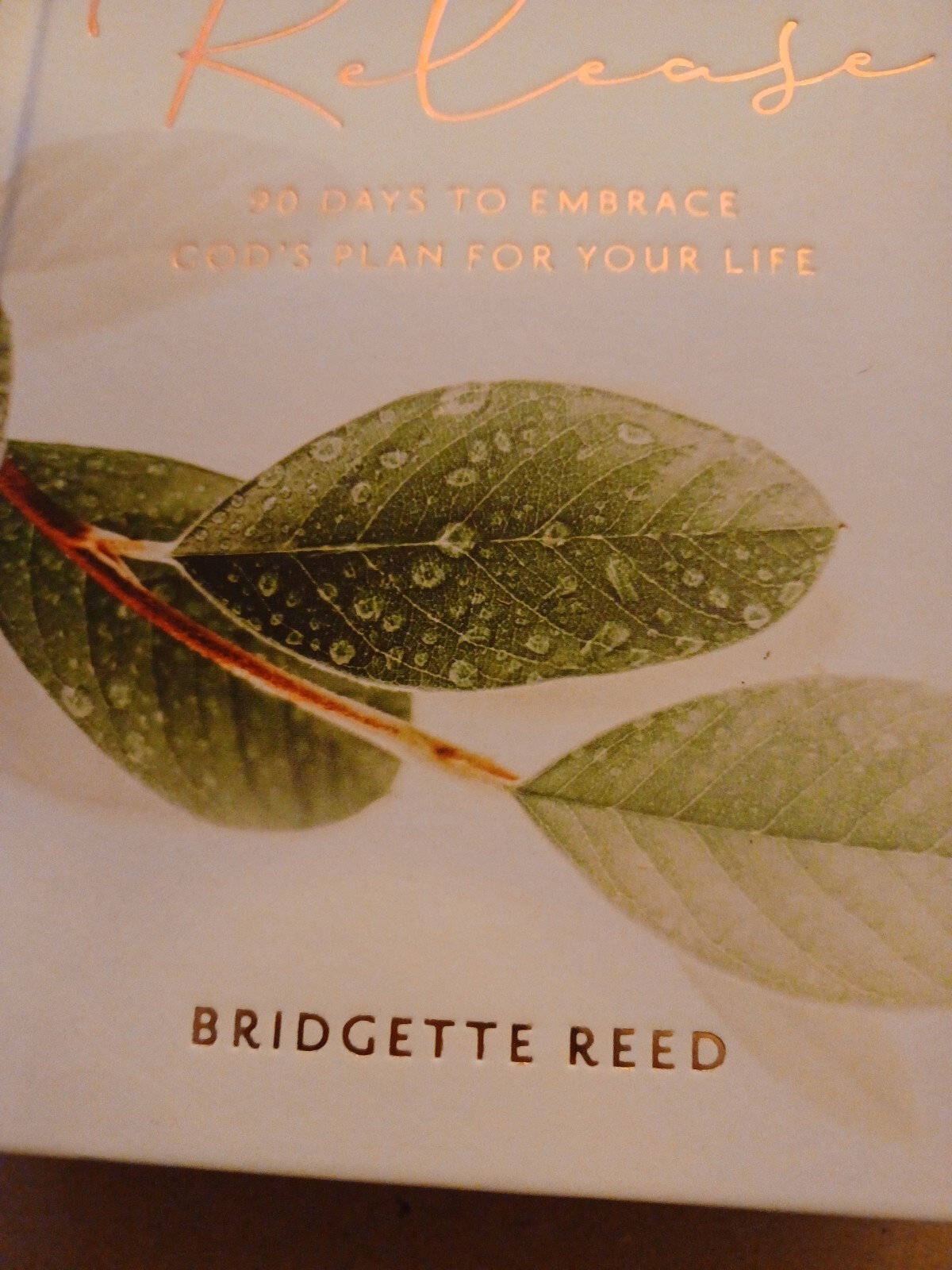 Release: 90 Days to Embrace God's Plans for Your Life by Bridgette Reed 9781648708480| eBay