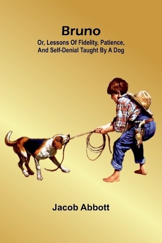 Jacob Abbott The Chaperon (Edition1) (Paperback) (UK IMPORT) | eBay