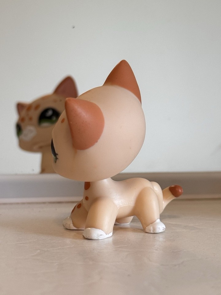 Littlest Pet Shop LPS #852 Leopard Cat Cream White Moon Eyes 2006 ...
