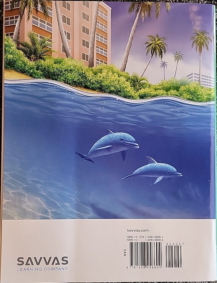 Grade 4 Envision Florida B.E.S.T. Mathematics Student Edition Volume 1 ...